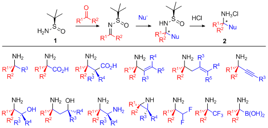 Asymmetric Synthesis of Amines | Ellman Laboratory